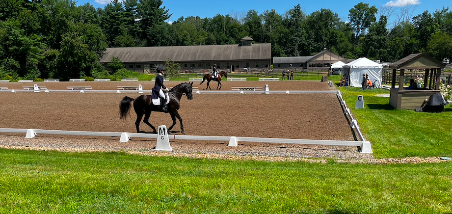 Choreographed Horseback Riding Benefits Equine Therapy Program – The ...