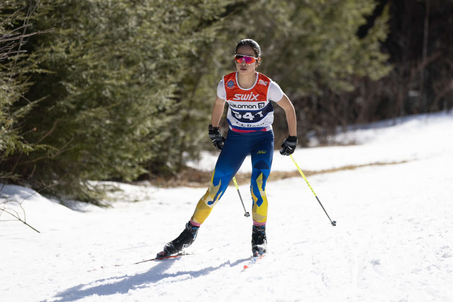 Local Nordic skiing team caps successful season – The Acton Exchange